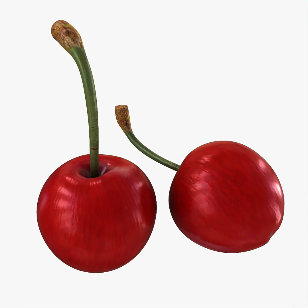 Cherry fruit 3D model - TurboSquid 1537639