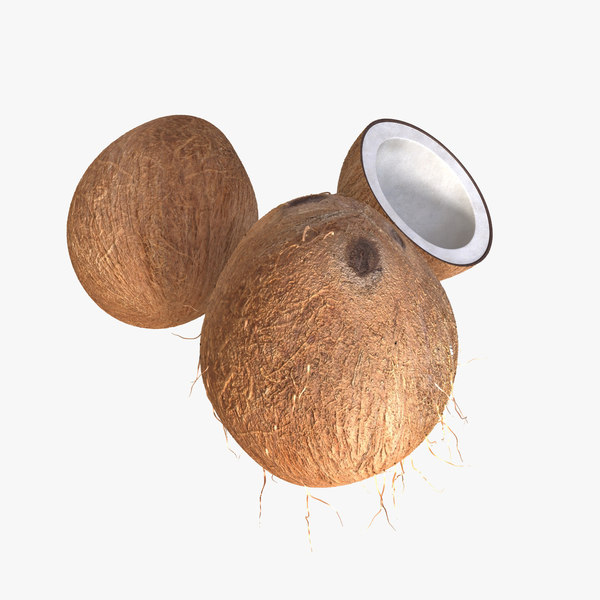 Coconut 3D Models for Download | TurboSquid