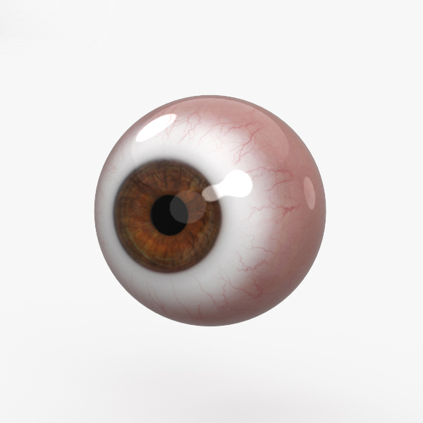 Eyes 3D Models for Download | TurboSquid