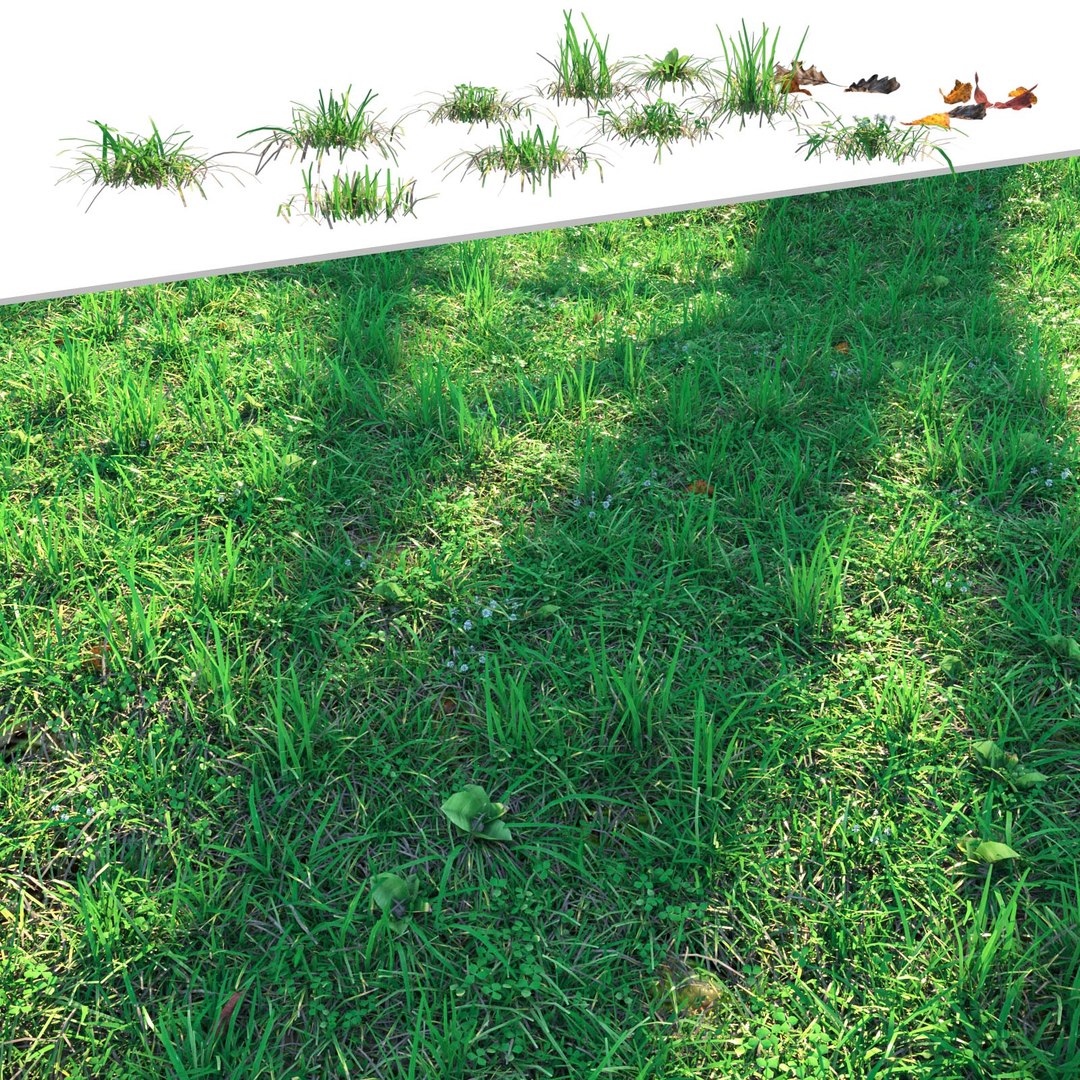 3D model grass lawn - TurboSquid 1538201