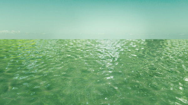 Texture PNG PBR Textures Water
