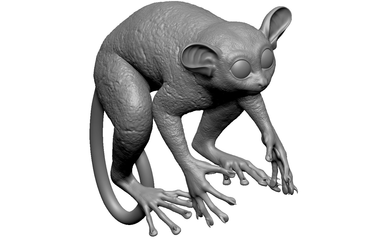 Tarsier eyes 3D - TurboSquid 1538566