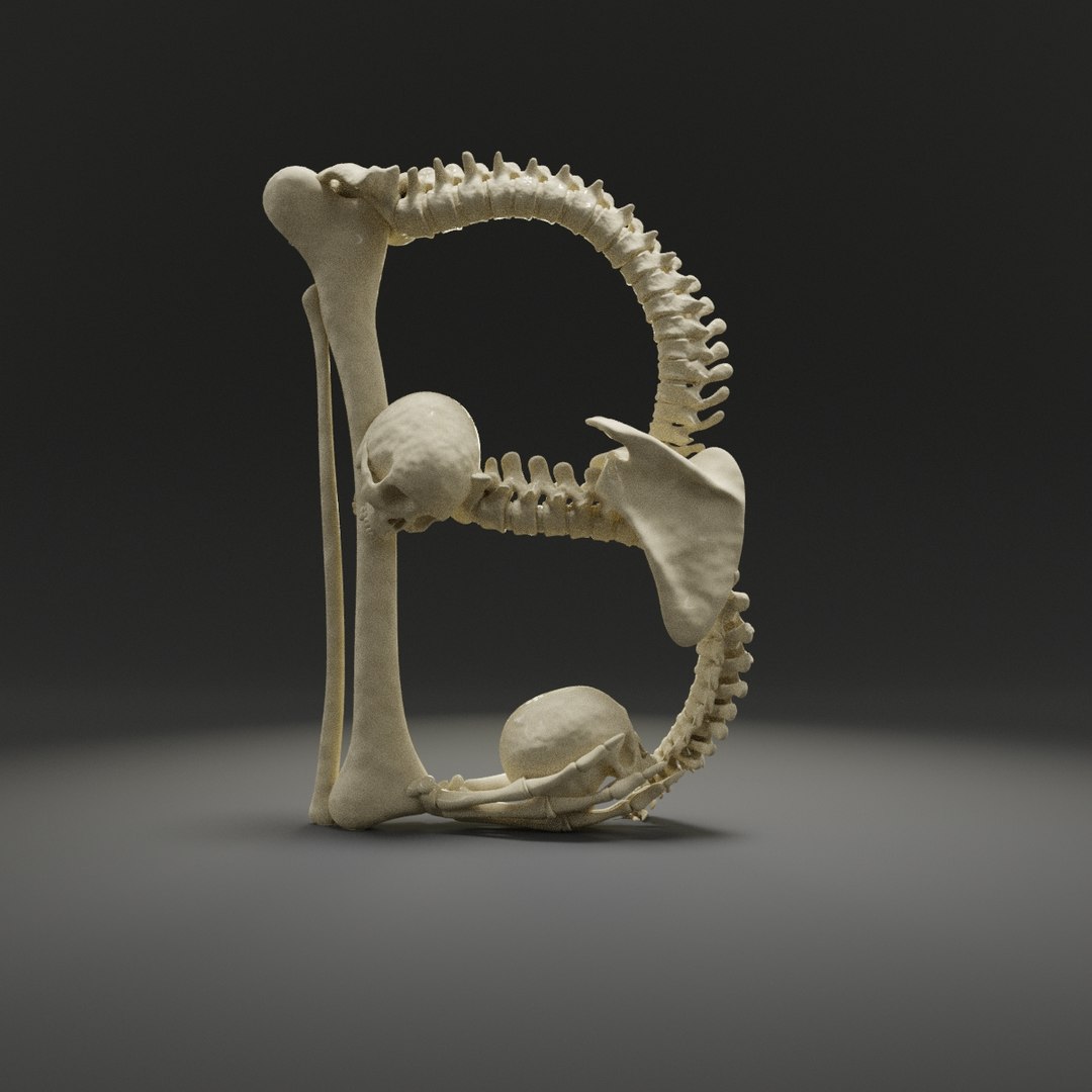 3D letter bones skeleton - TurboSquid 1538802