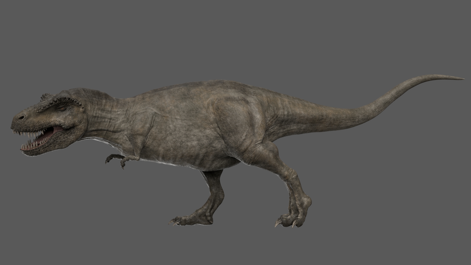 Modello 3D T-Rex Animated - TurboSquid 1538947