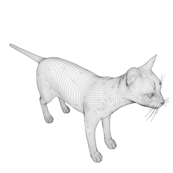 Katze 3D-Modell - TurboSquid 1538978