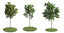 trees pack 3d obj