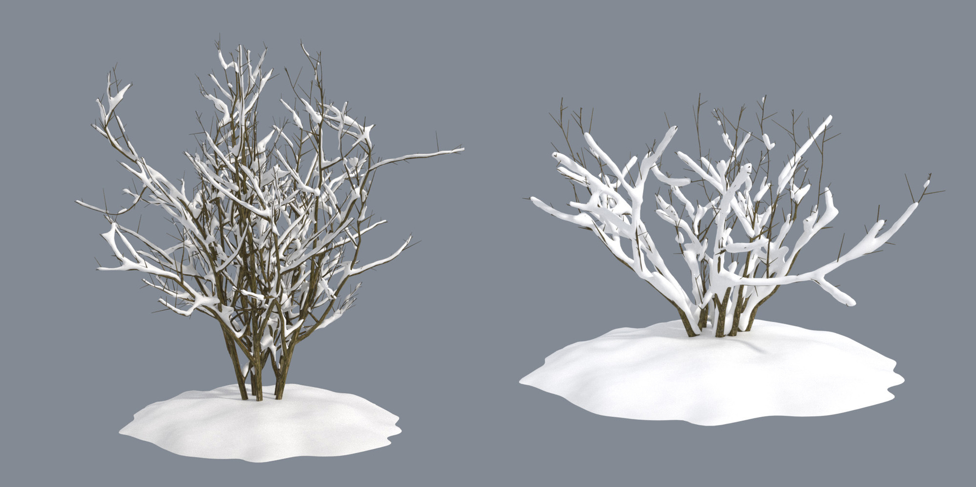 3d model bushes v-ray corona