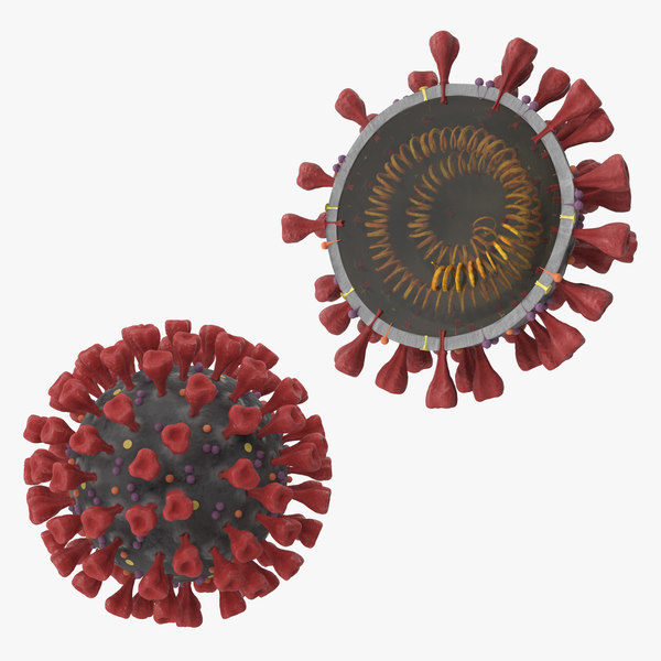 3D Virus Models | TurboSquid