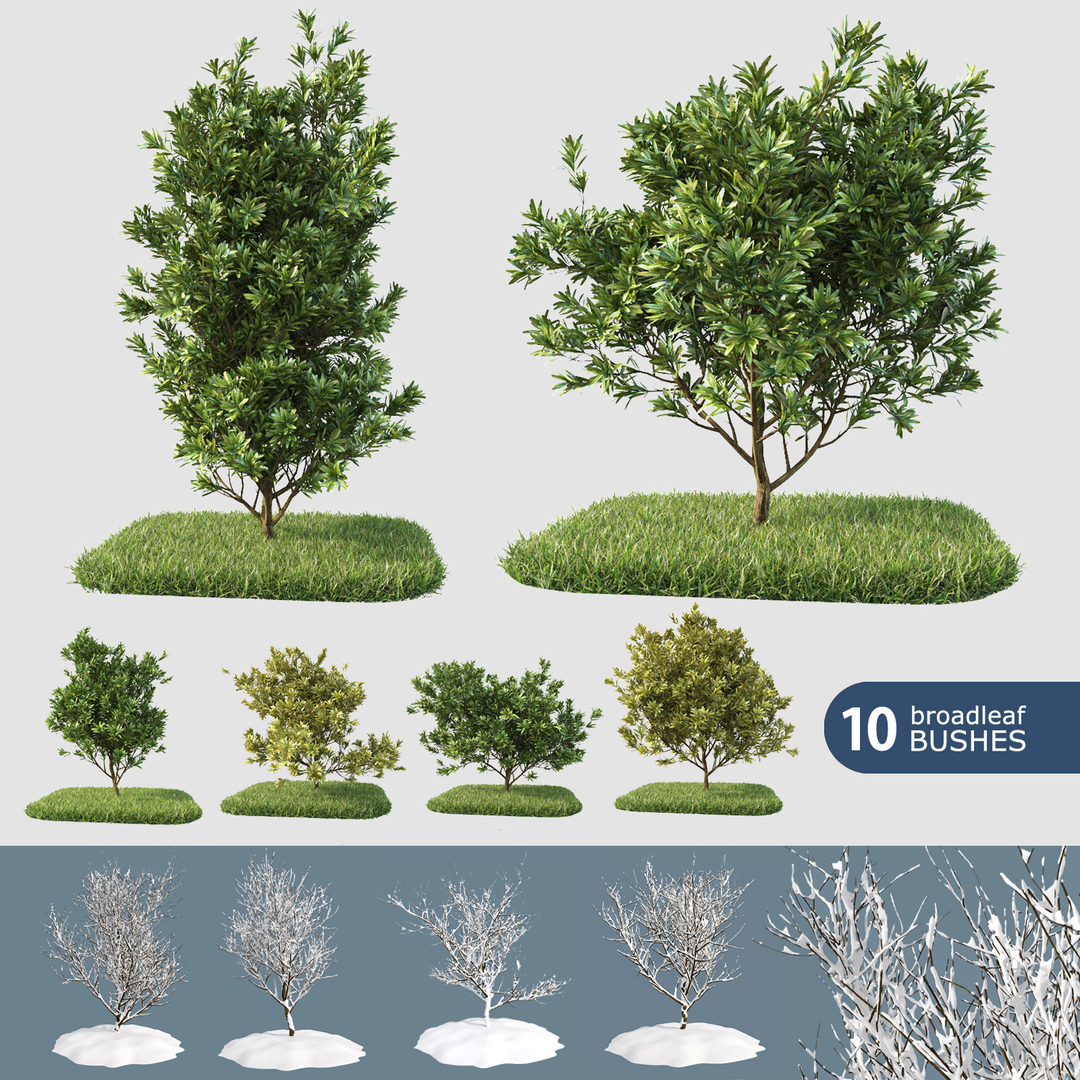 3d 10 broadleaf bushes model