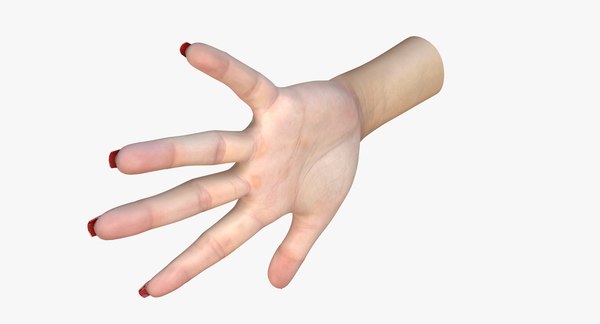 3D modeled hand model - TurboSquid 1536083