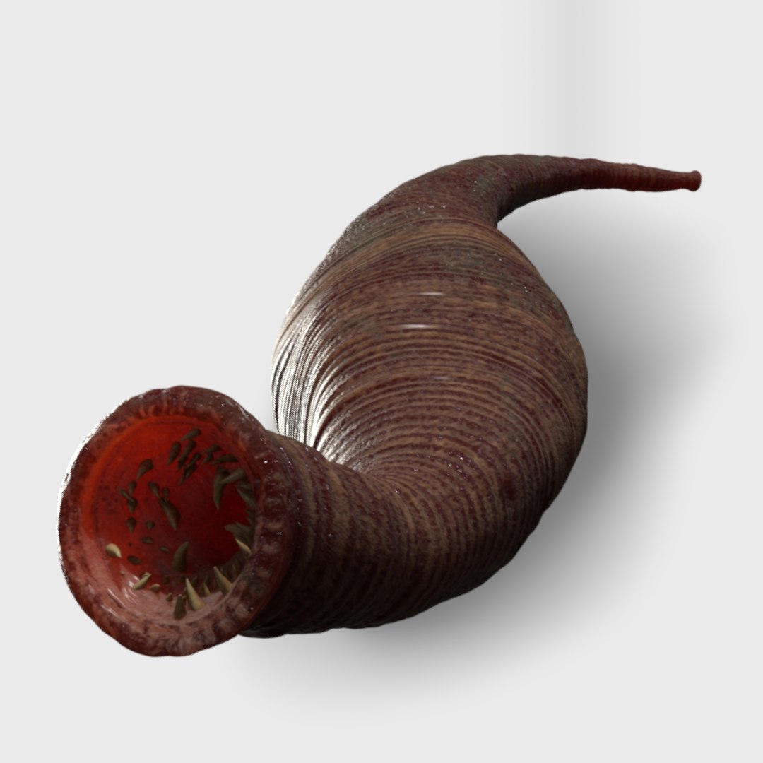 Leech rigged animations 3D model - TurboSquid 1540349