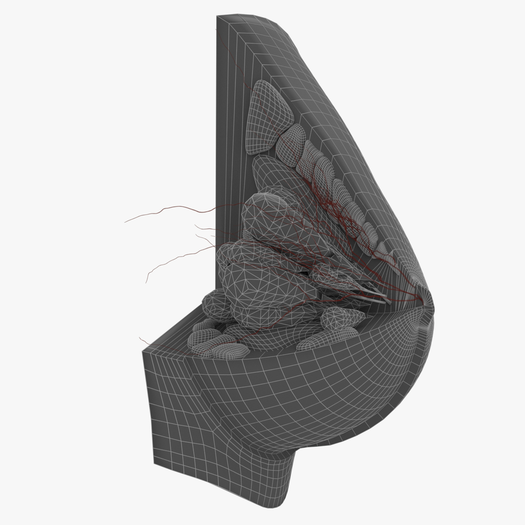 Female breast details 3D model - TurboSquid 1540647