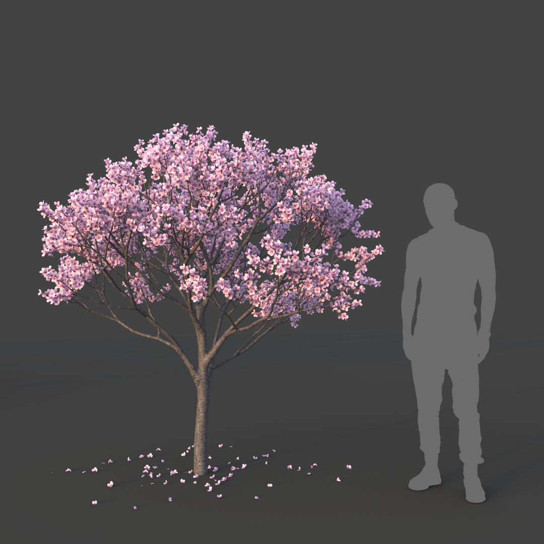 3D tree sakura - TurboSquid 1540740