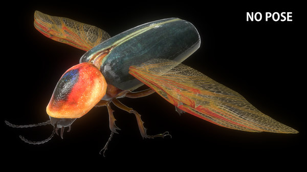 Firefly bug 3D - TurboSquid 1540795