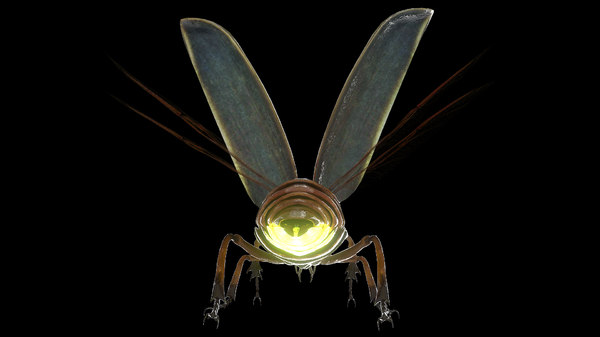 Firefly bug 3D - TurboSquid 1540795