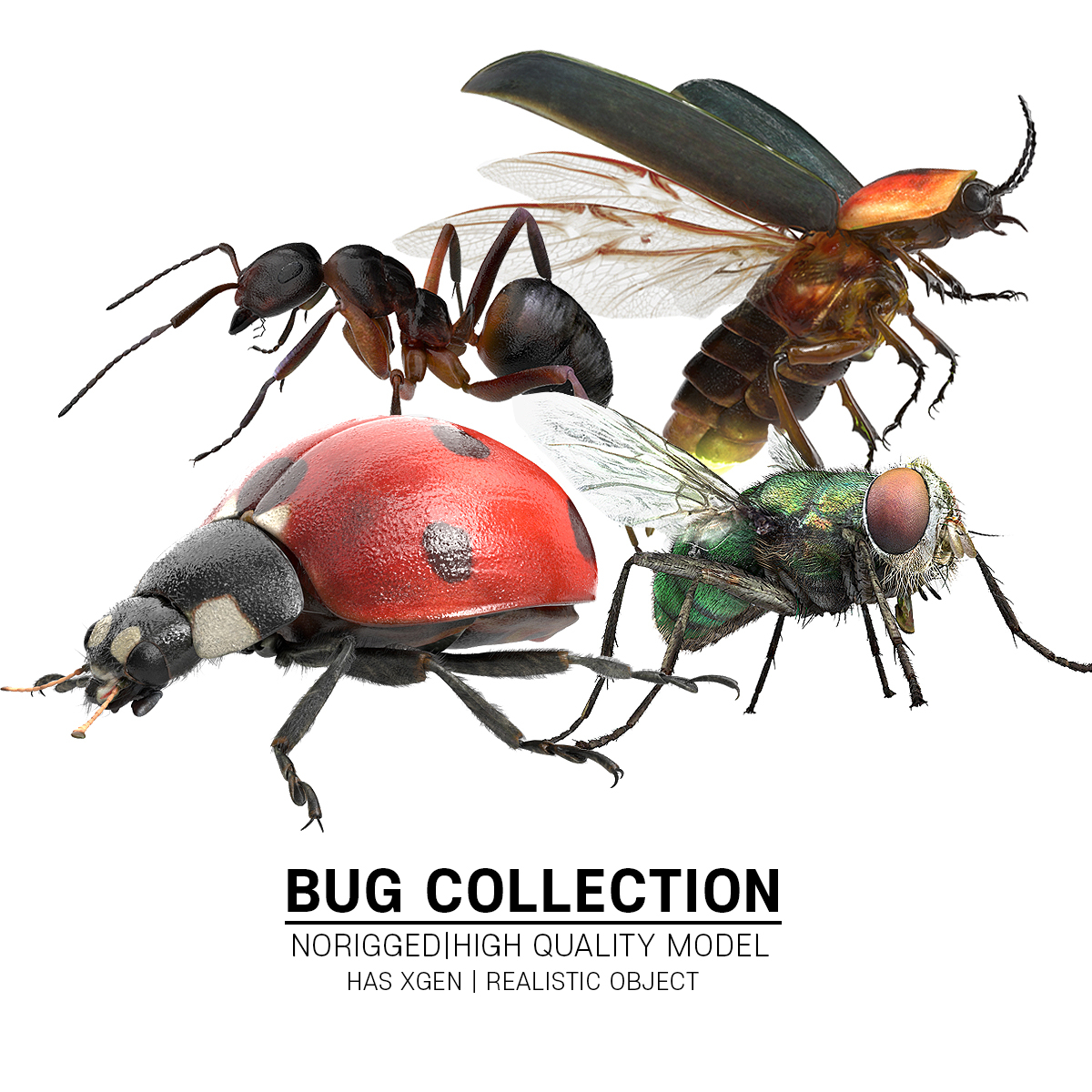 3D insect bug fly - TurboSquid 1540826