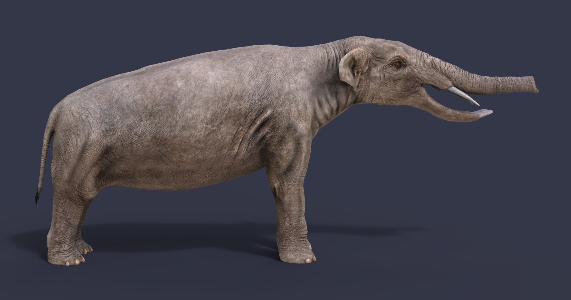 3d Platybelodon Model Turbosquid 1540733