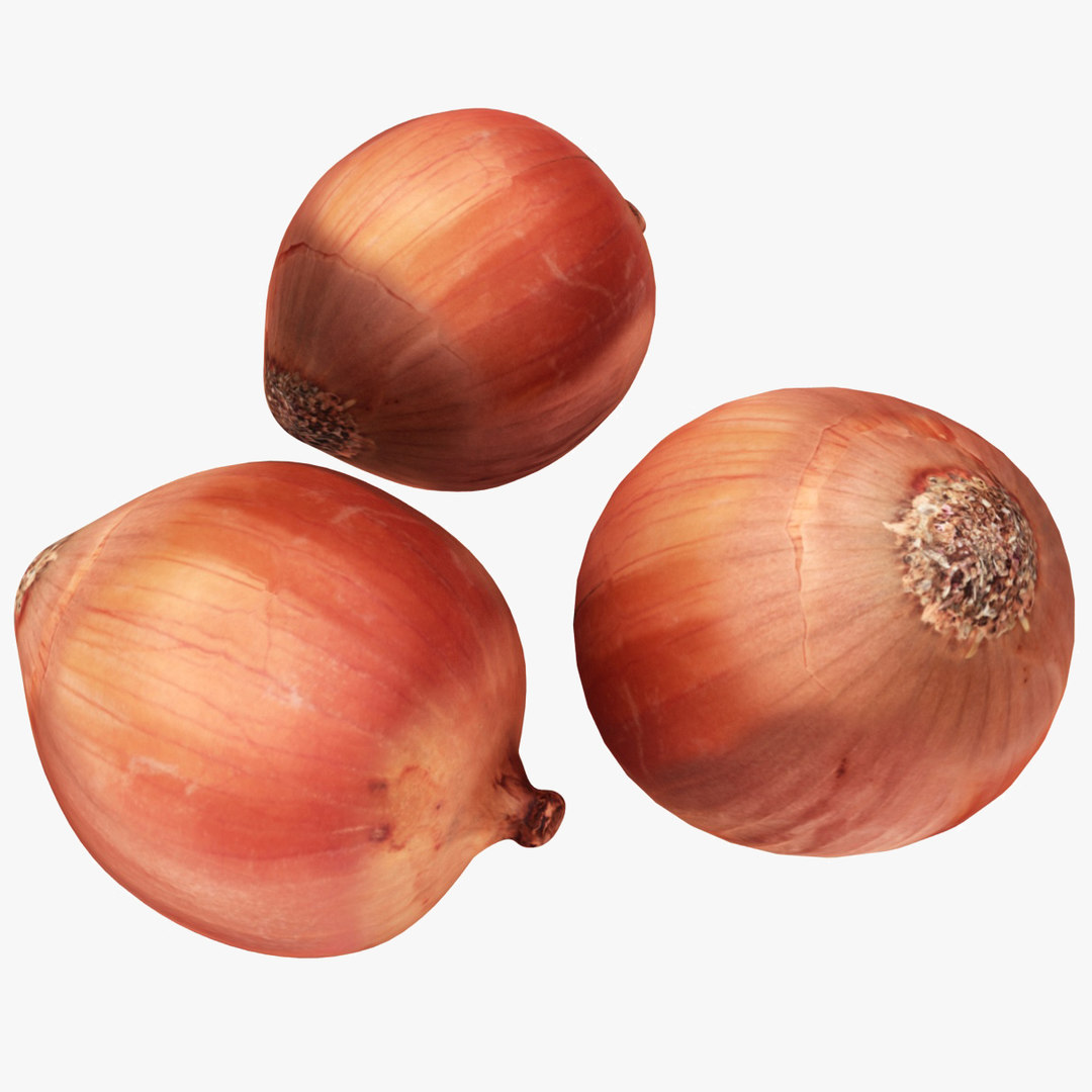 3D onion - TurboSquid 1541320