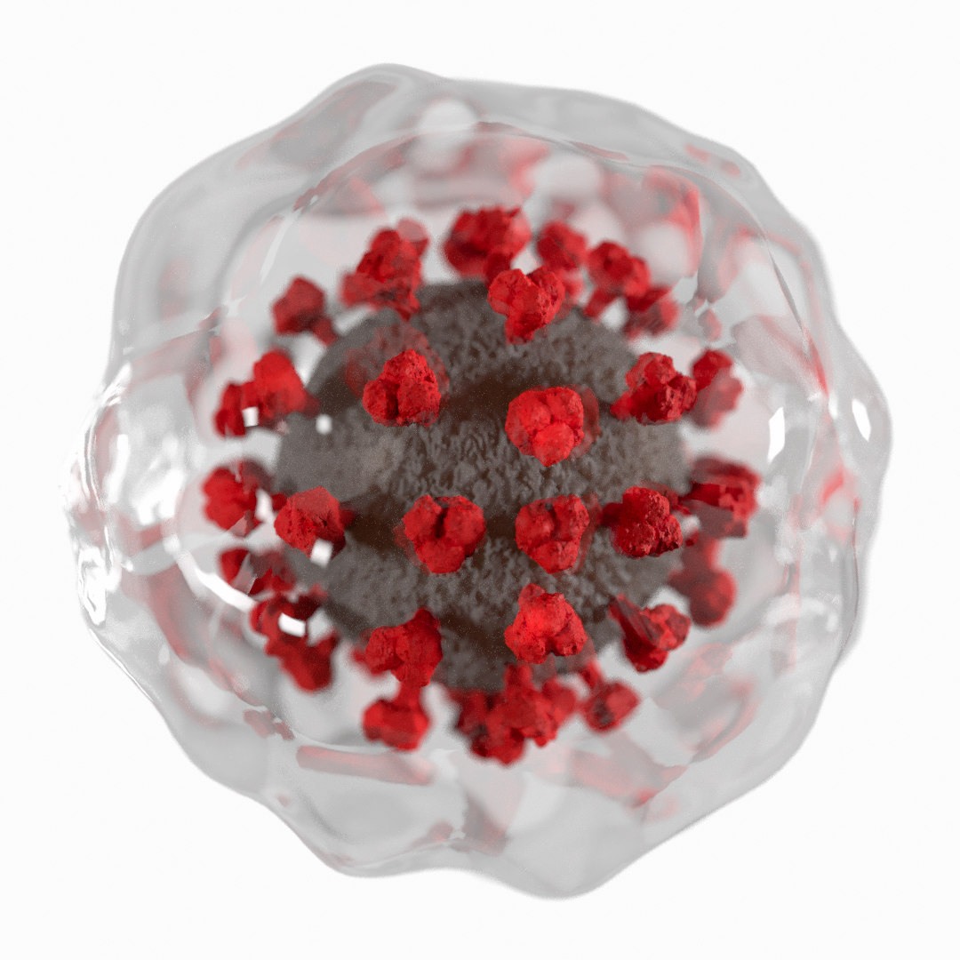 What Is An Example Of An Enveloped Virus