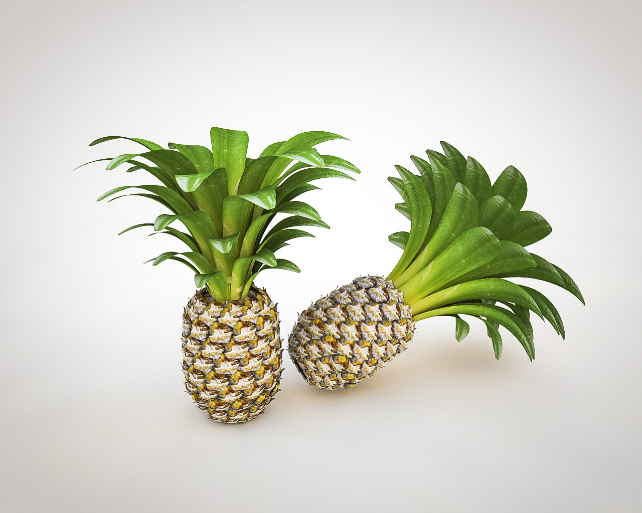 modelo 3d Pineapple - TurboSquid 1541701