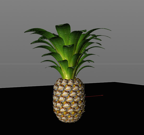 modelo 3d Pineapple - TurboSquid 1541701