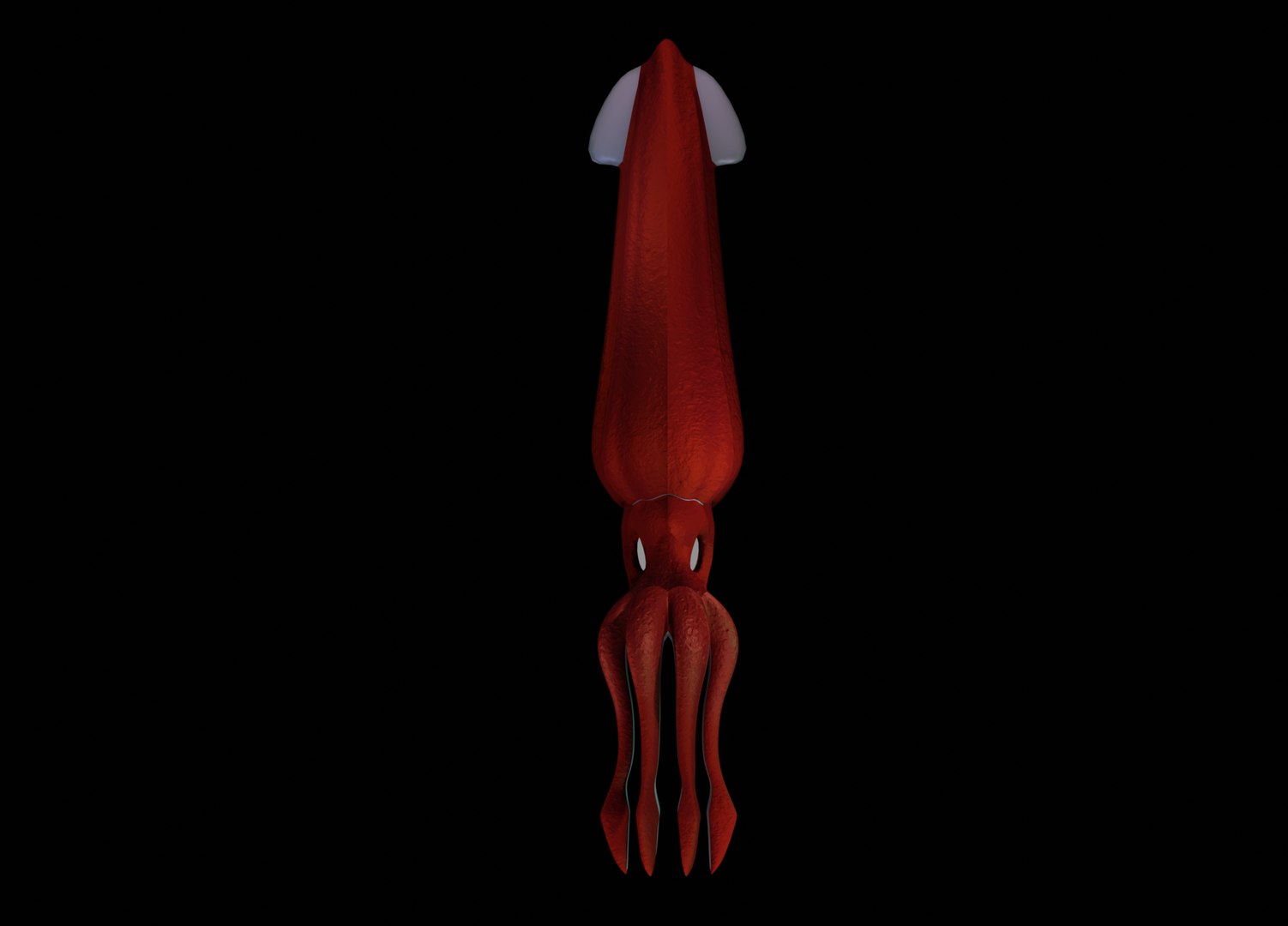 3D model humboldt squid animation - TurboSquid 1541912
