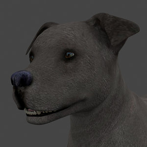 Dog Blender Models for Download | TurboSquid