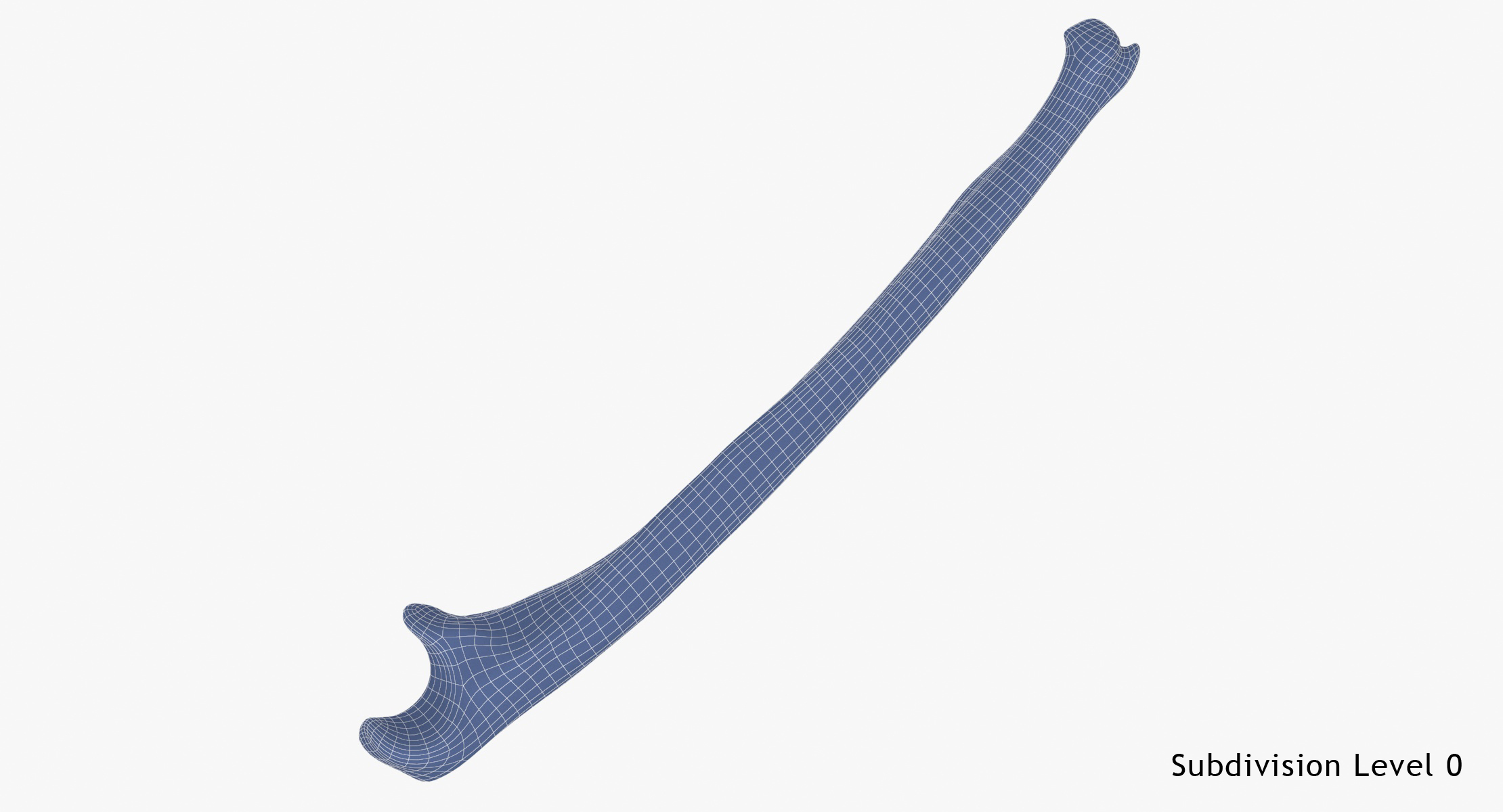 Human ulna bone 01 3D model - TurboSquid 1542108