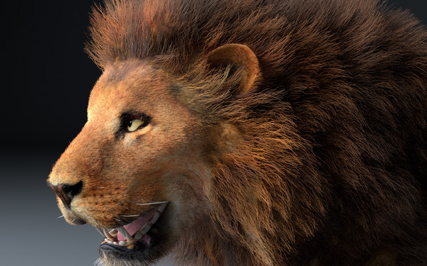Lion 3D Models for Download | TurboSquid