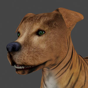 Dog Blender Models for Download | TurboSquid