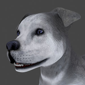 Dog Blender Models for Download | TurboSquid