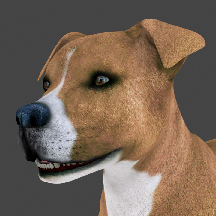 3D dog rigged - TurboSquid 1543150