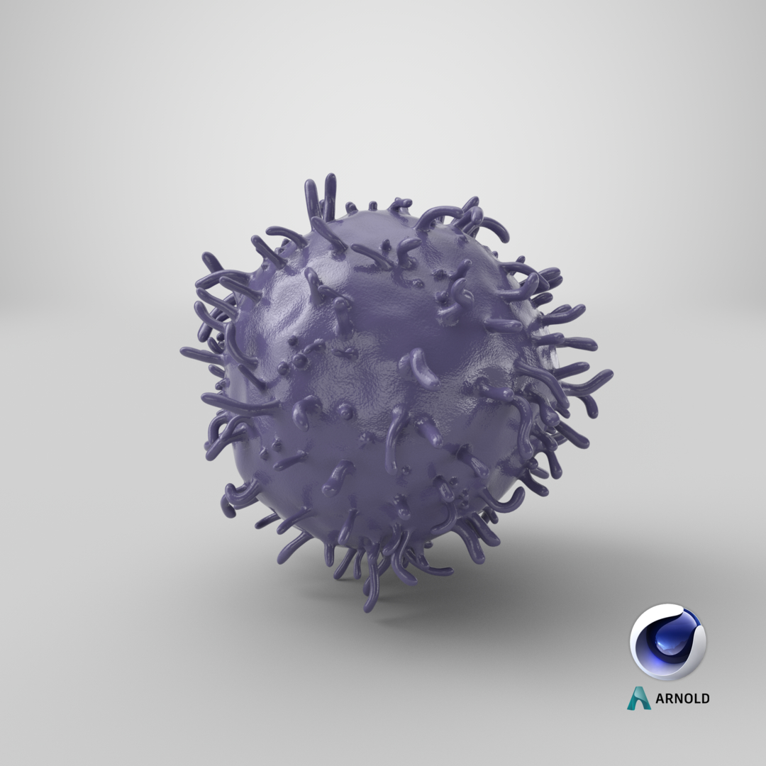 3D lymphocyte blood cell - TurboSquid 1346873