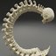 3D letter c bones skeleton model - TurboSquid 1543301