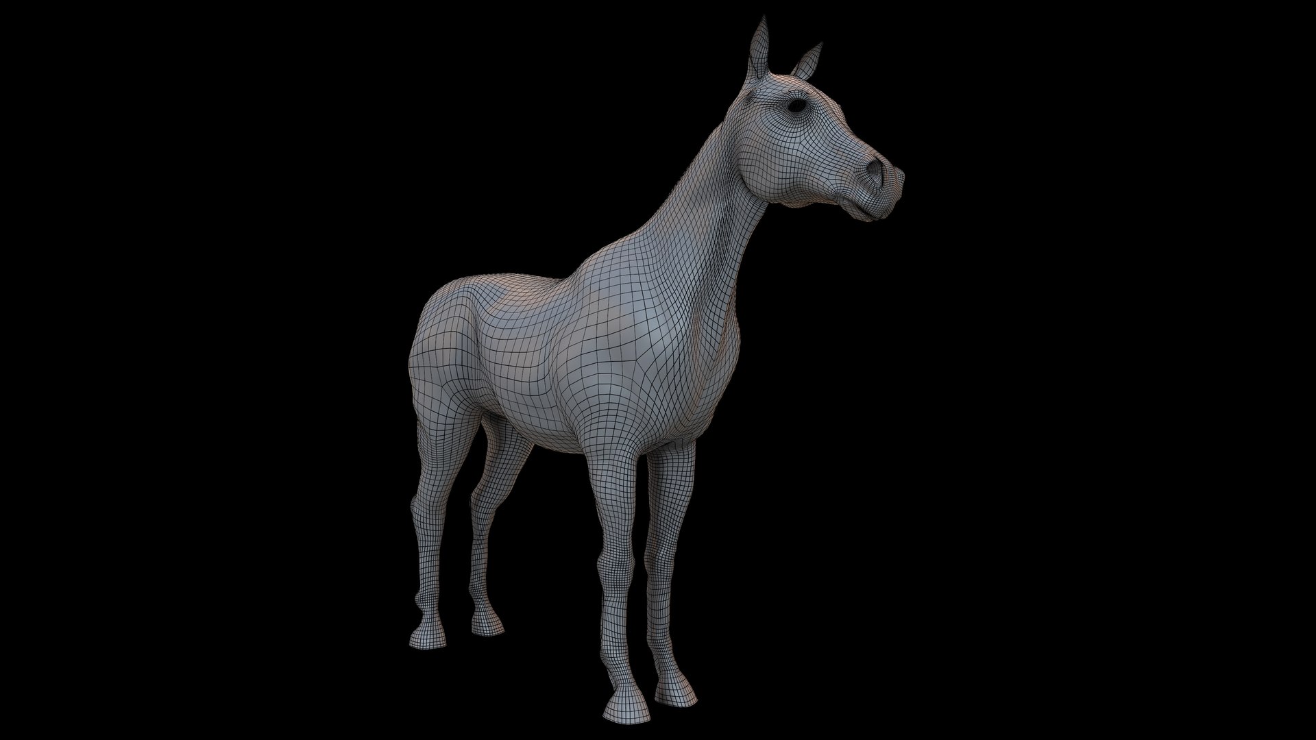 modelo 3d Base de caballo - TurboSquid 1543298