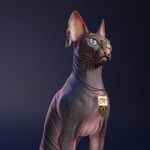 Cat Blender Models for Download | TurboSquid