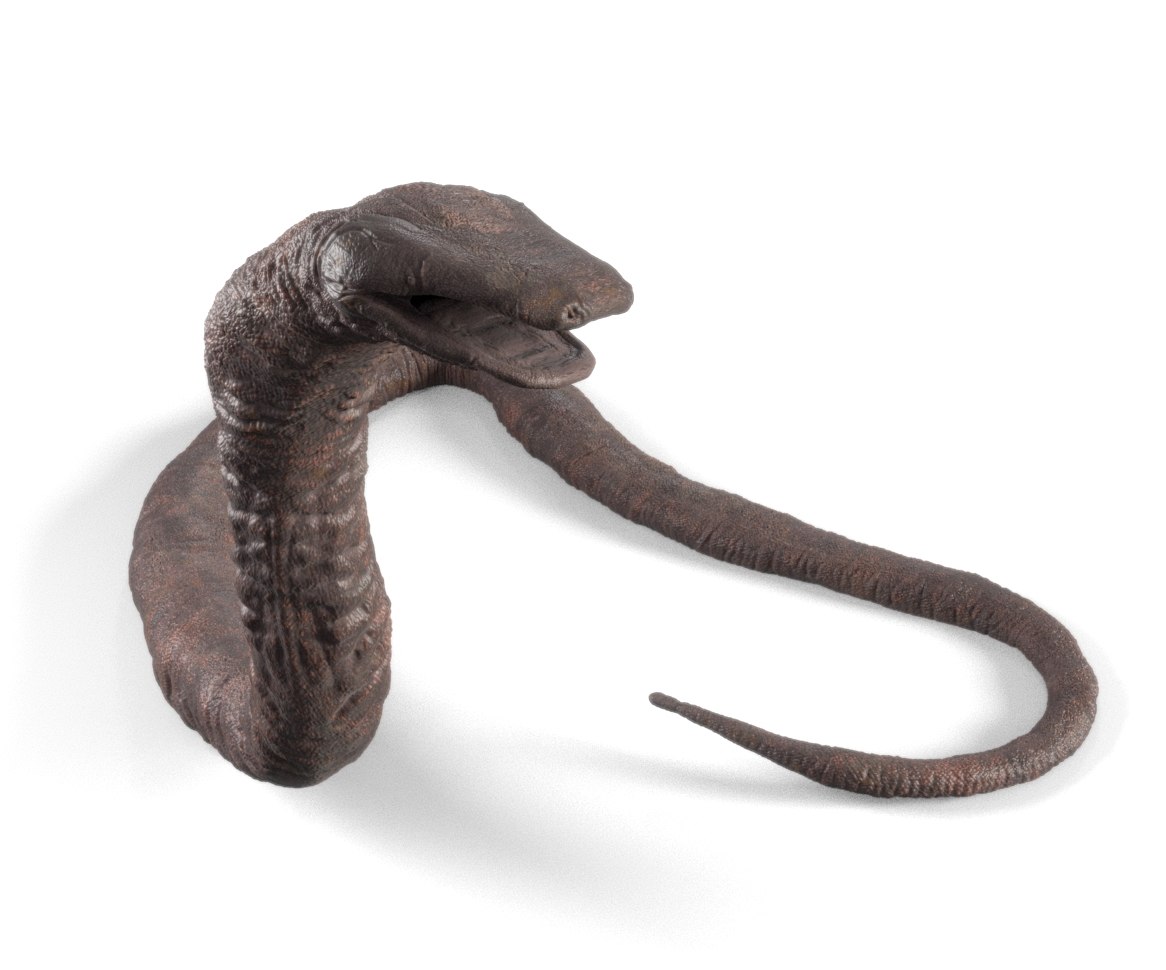 Atretochoana eiselti model - TurboSquid 1544116