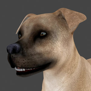 Dog Blender Models for Download | TurboSquid