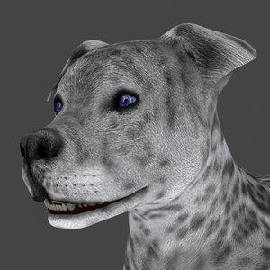Dog Blender Models for Download | TurboSquid