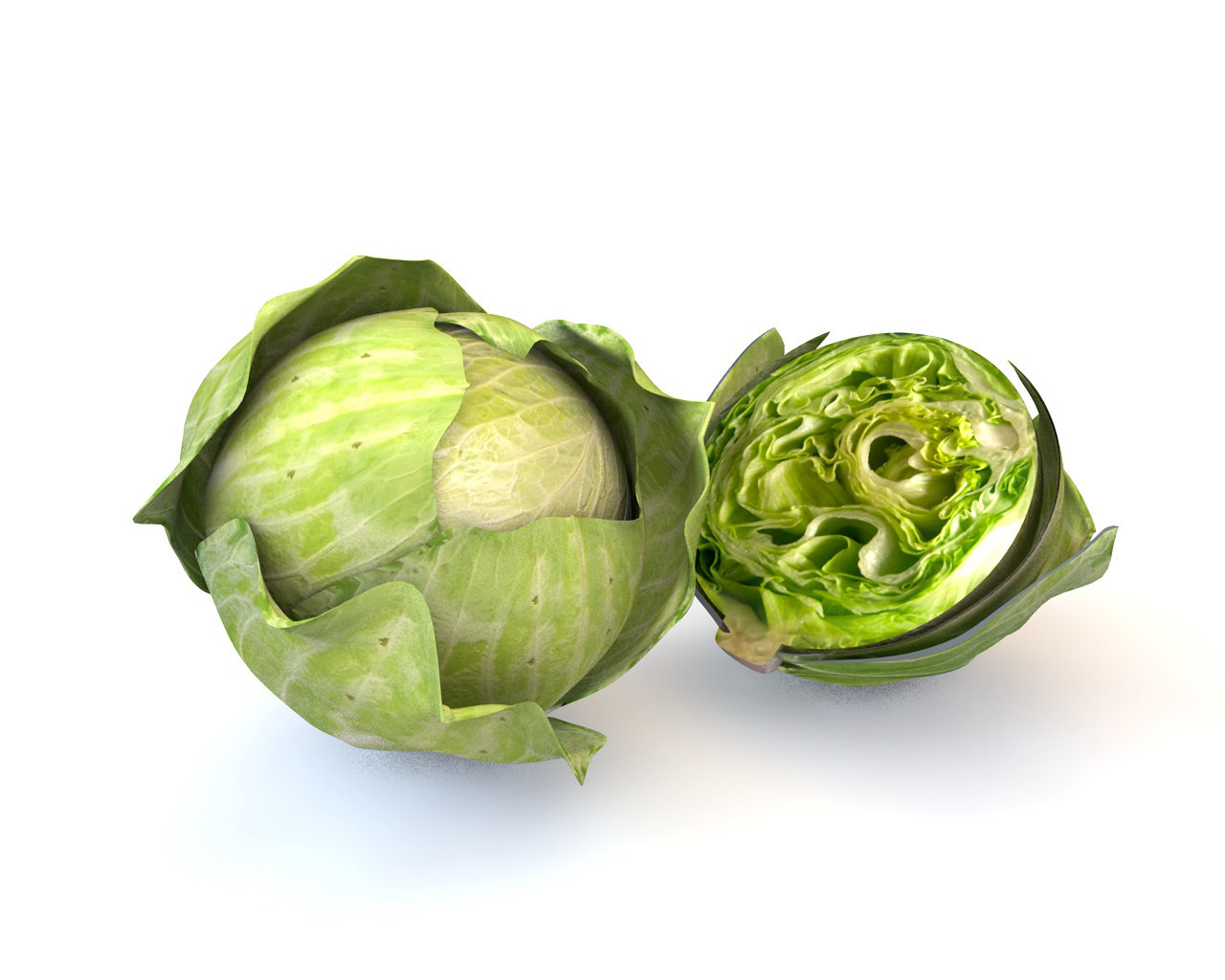 Cabbage 3D model - TurboSquid 1544474