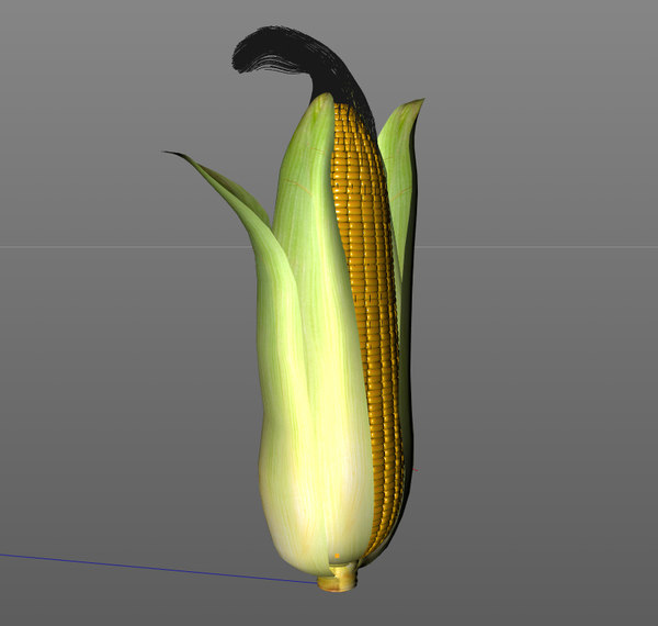 3D corn maize - TurboSquid 1544486
