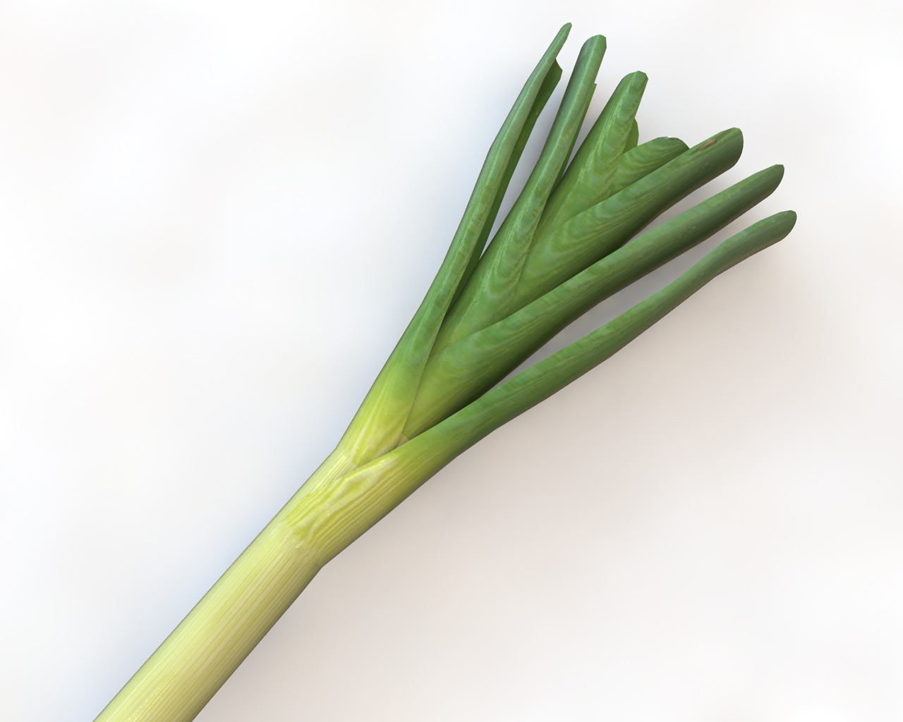 3D leeks - TurboSquid 1544539