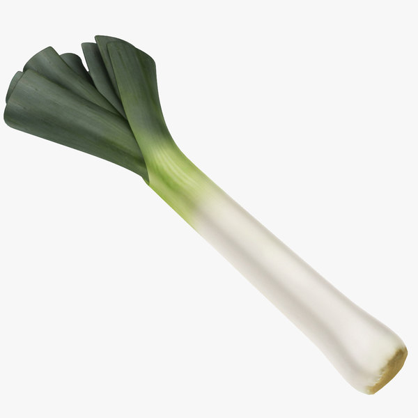 Leek realistic 3D model - TurboSquid 1544574