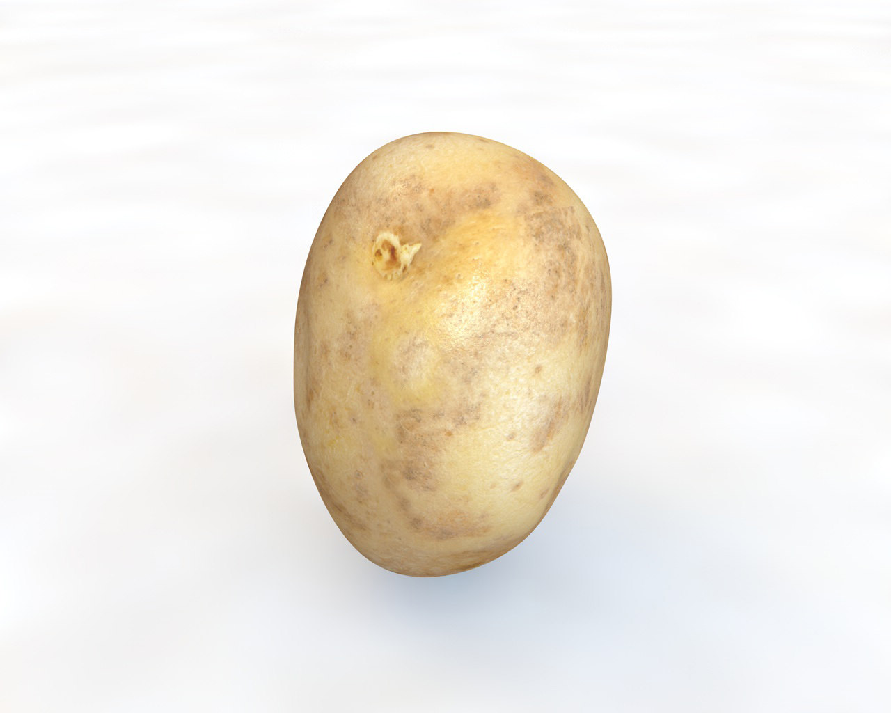 3D potato - TurboSquid 1544563