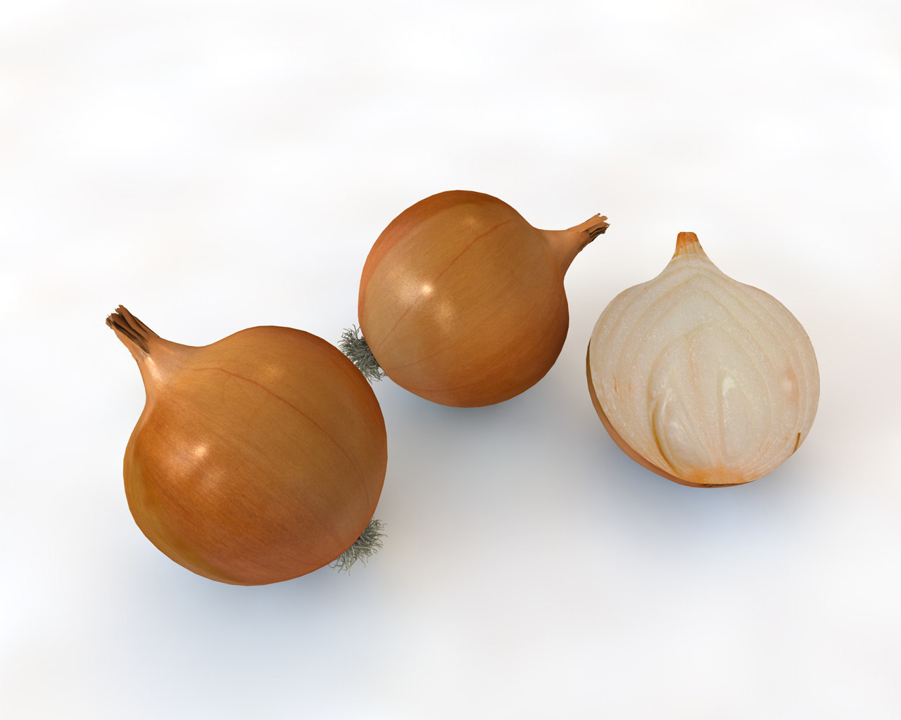 3D onion model - TurboSquid 1544553