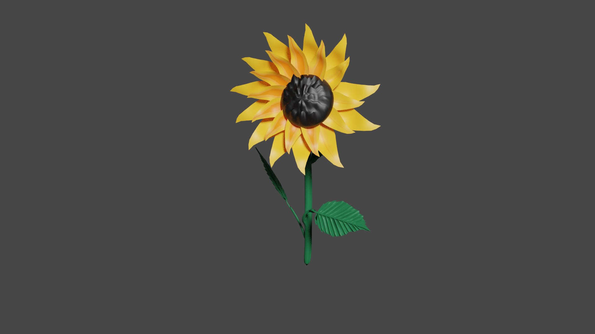 Sunflower flower 3D model - TurboSquid 1544718