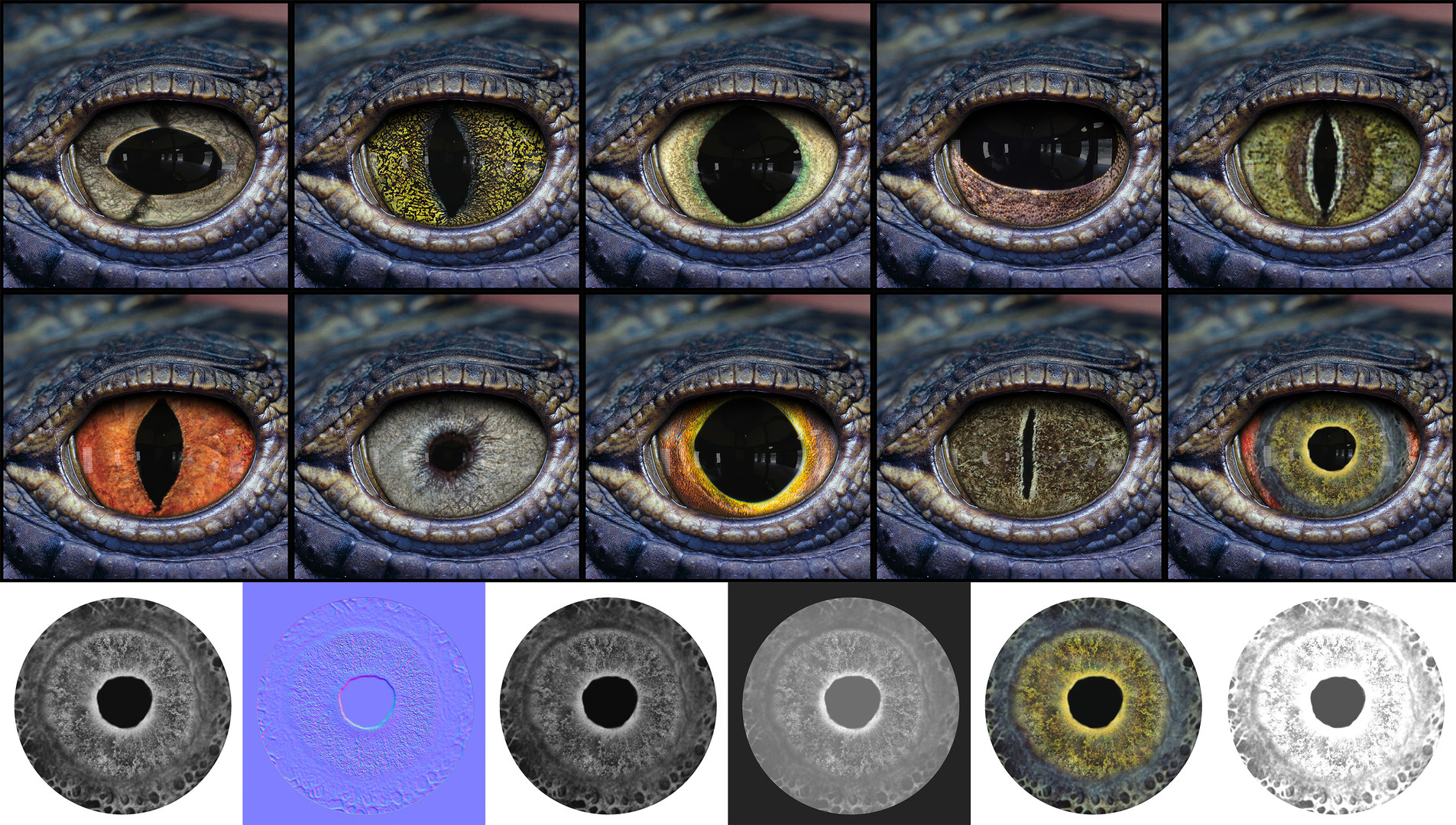 Texture PNG creature eye pbr