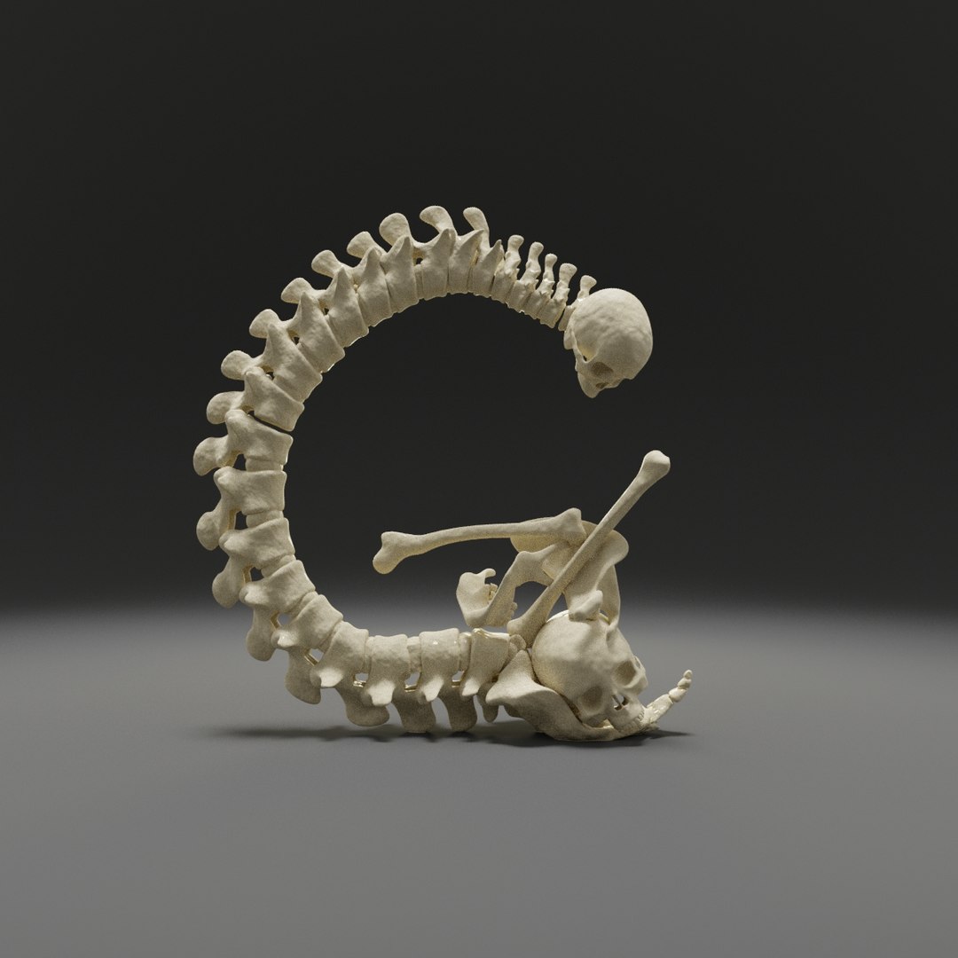 Letter g bones skeleton 3D model - TurboSquid 1544892