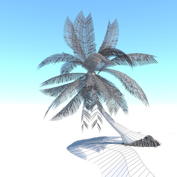 Palmera palm tree 3D model - TurboSquid 1545071
