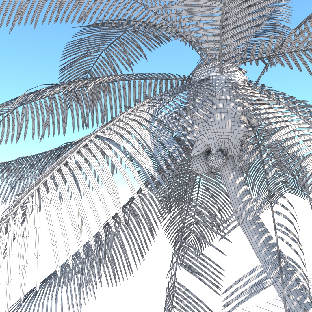 Palmera palm tree 3D model - TurboSquid 1545071